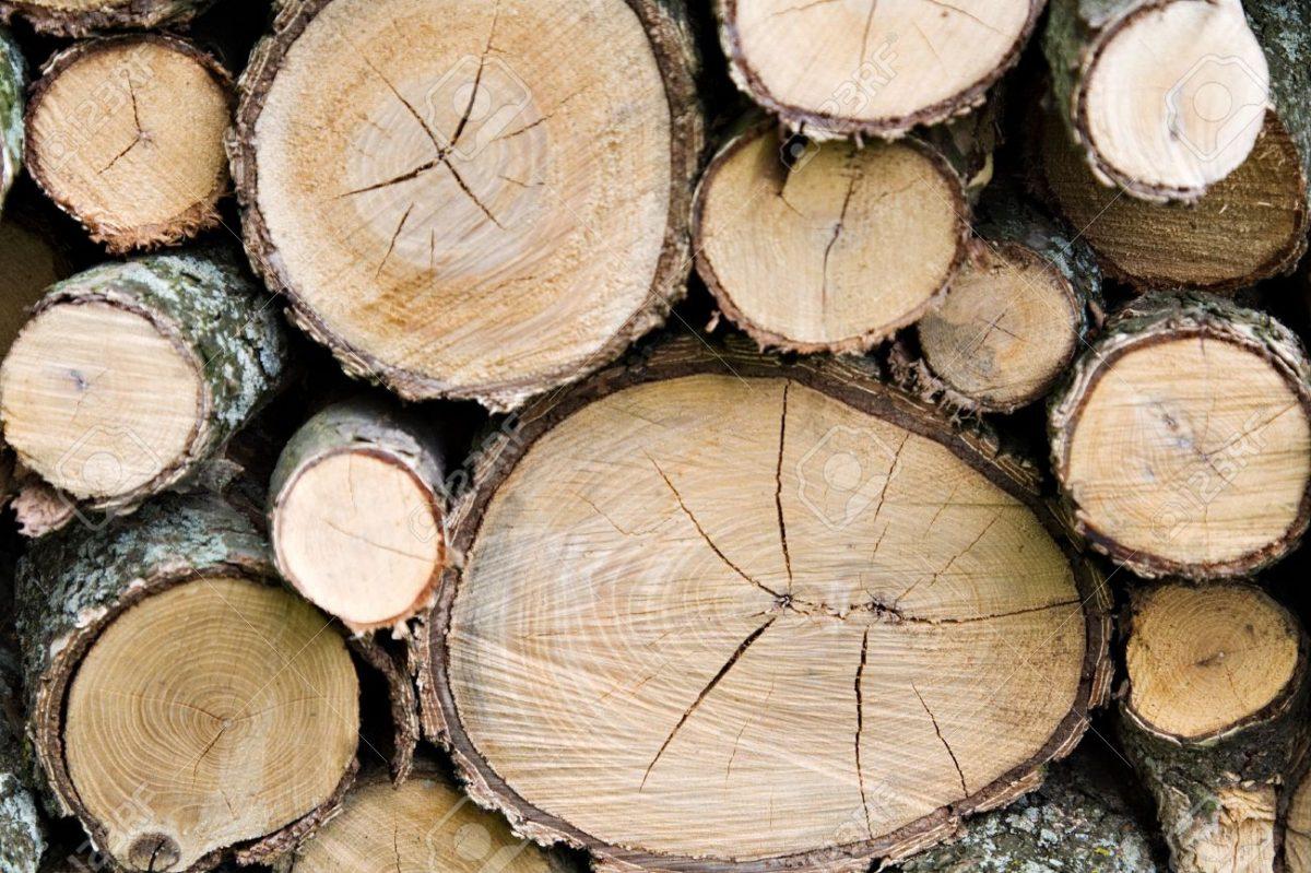 Vendita e Consegna a Domicilio Legna di Olmo a Roma